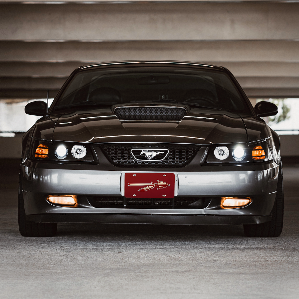 Garnet and Gold – Garnet & Gold